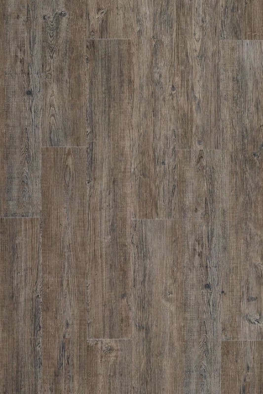 Moduleo Transform | Luxury Vinyl Planking » Robert Malcolm Ltd